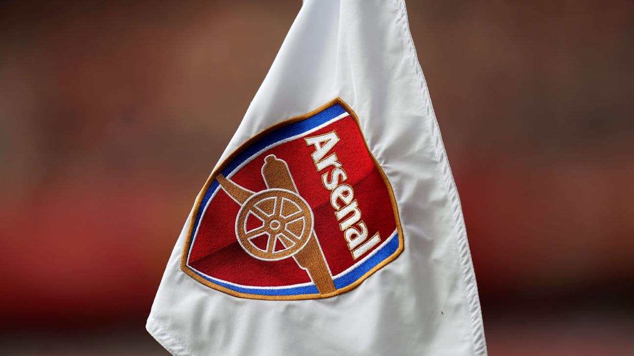 Arsenal Told To Sign This £19m Player To Win The League